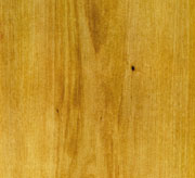 Wood 101: Alder | Woodworking Network