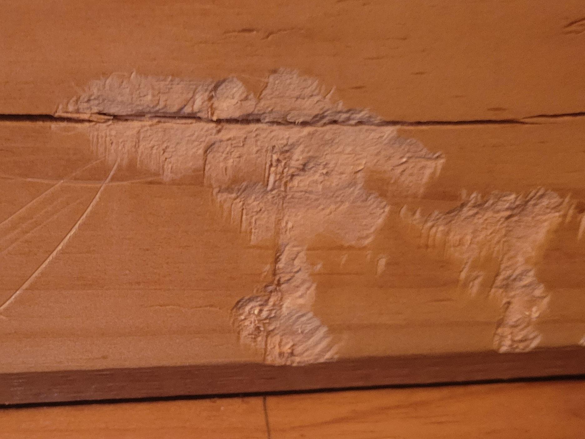 Ask a Woodworker | Woodworking Network