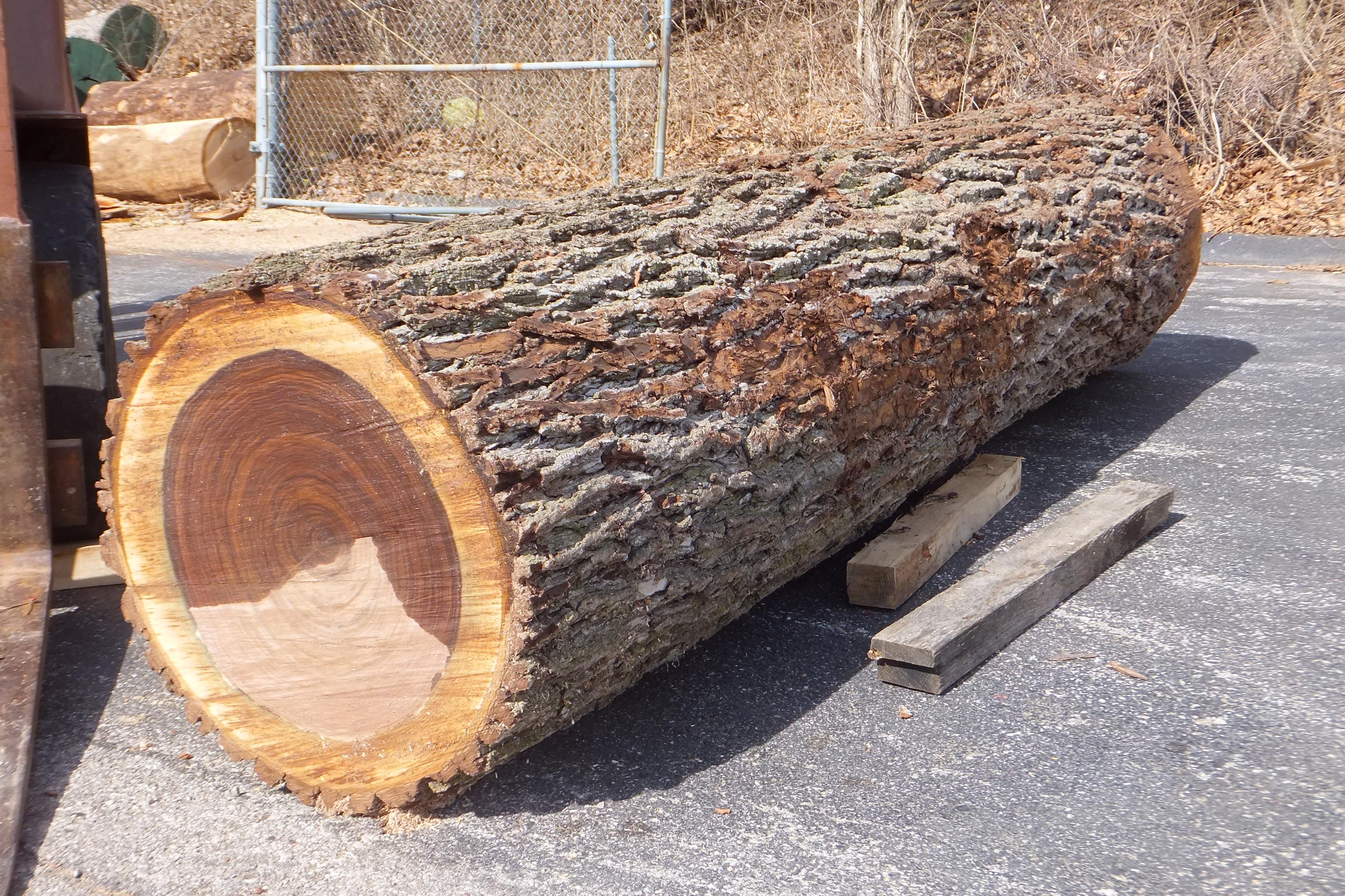 How Much Is Your Log Worth Woodworking Network How Much Is Your Log Worth Woodworking Network